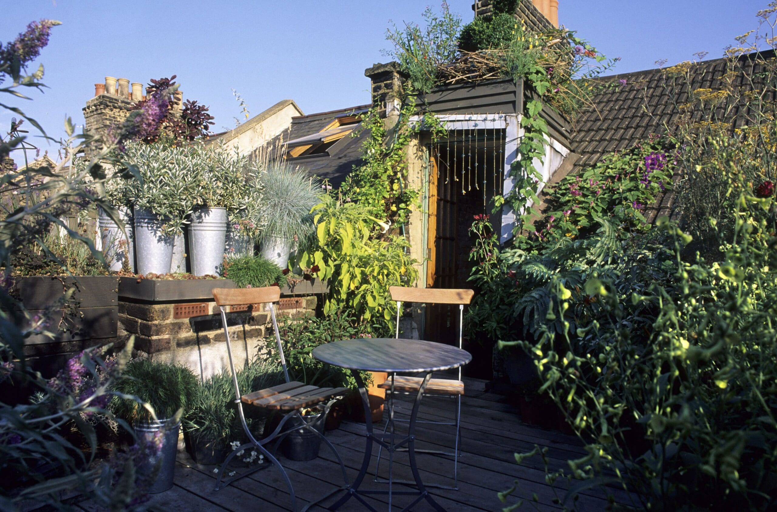 Bonnington Square - Dan Pearson Studio